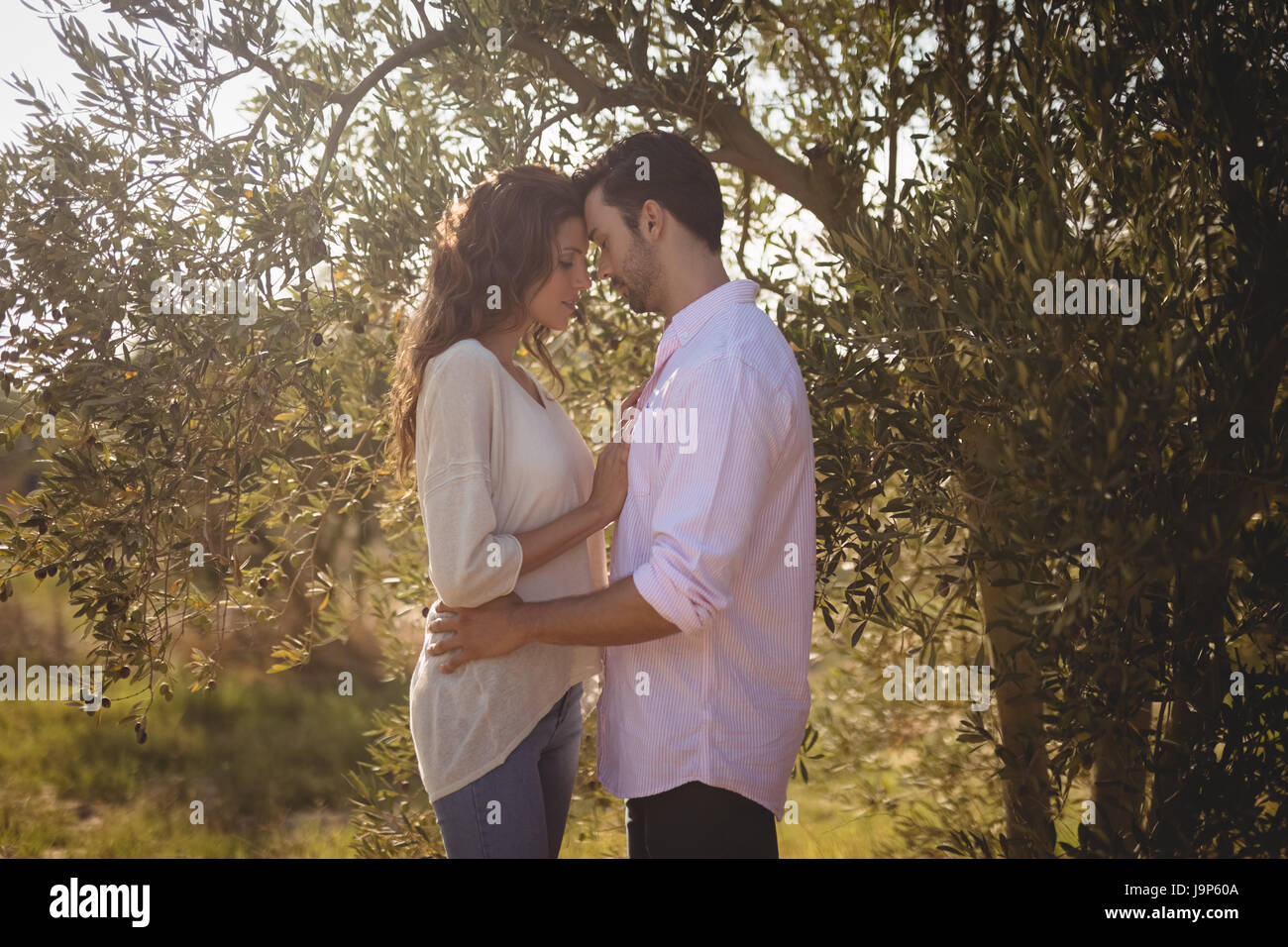 Side view of young couple standing together by tree at olive farm Stock ...