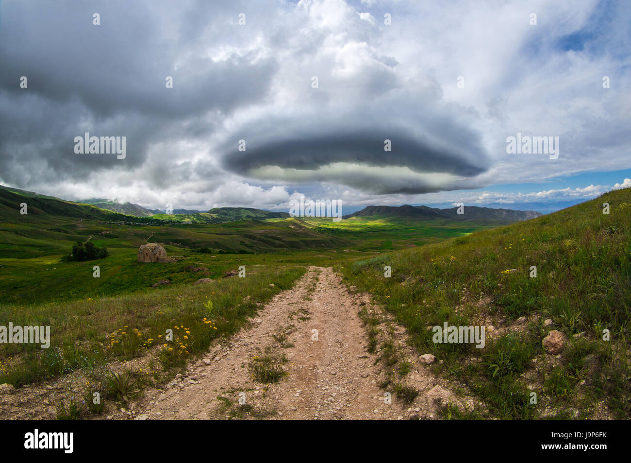 Strange Nature Images