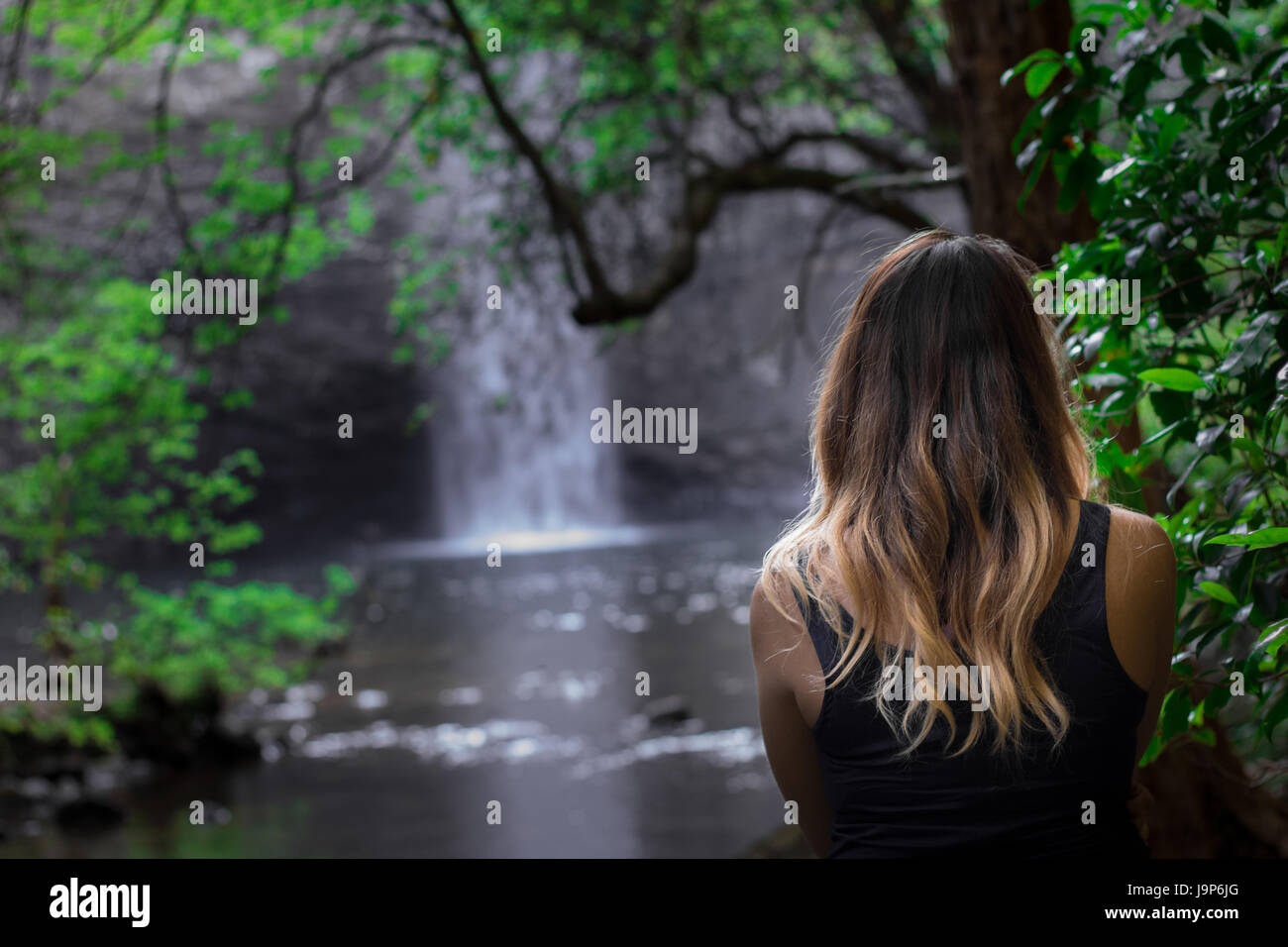 Waterfall model hi-res stock photography and images - Alamy