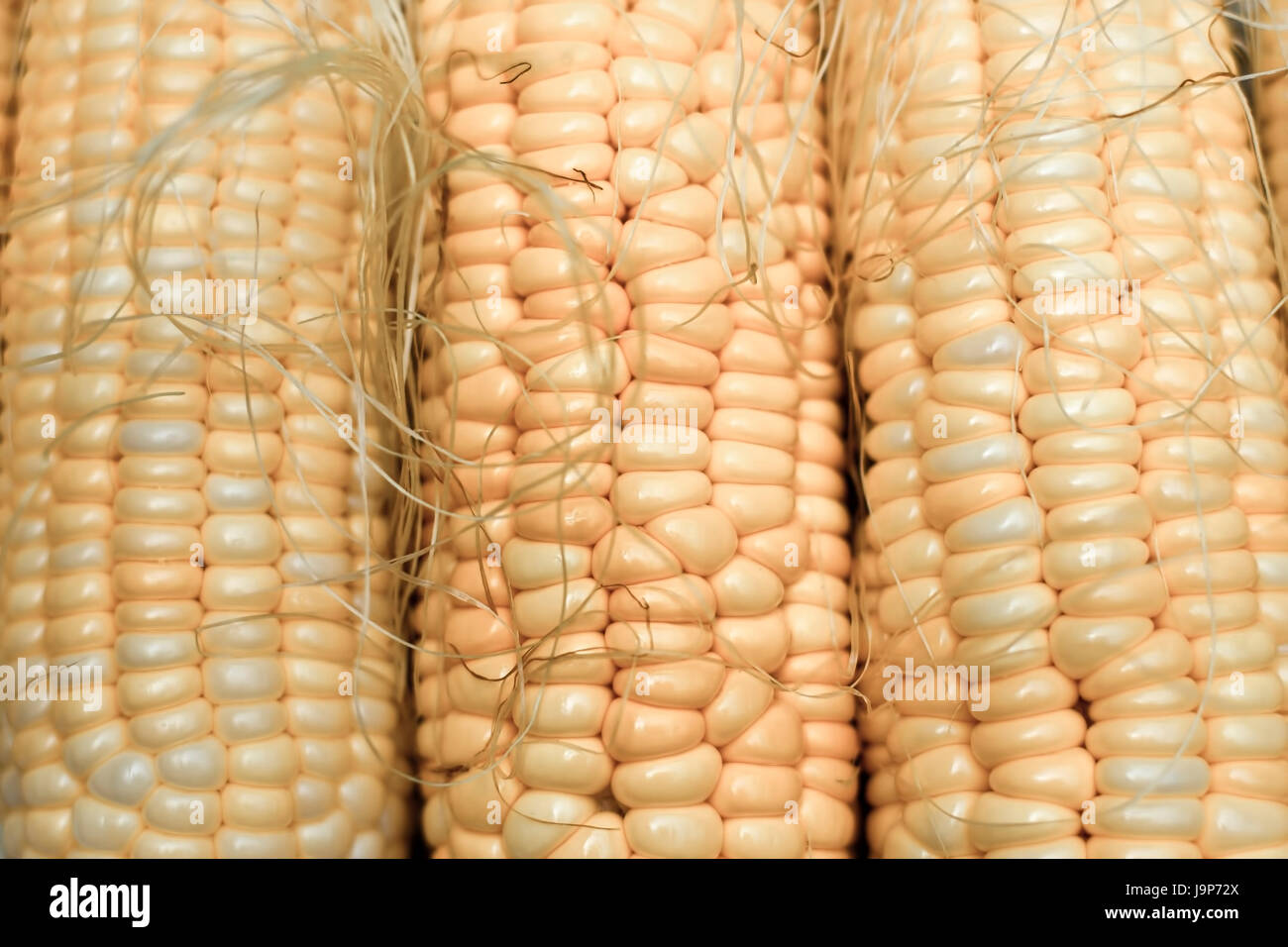 Sweet corn with yellow and green color Stock Photo - Alamy