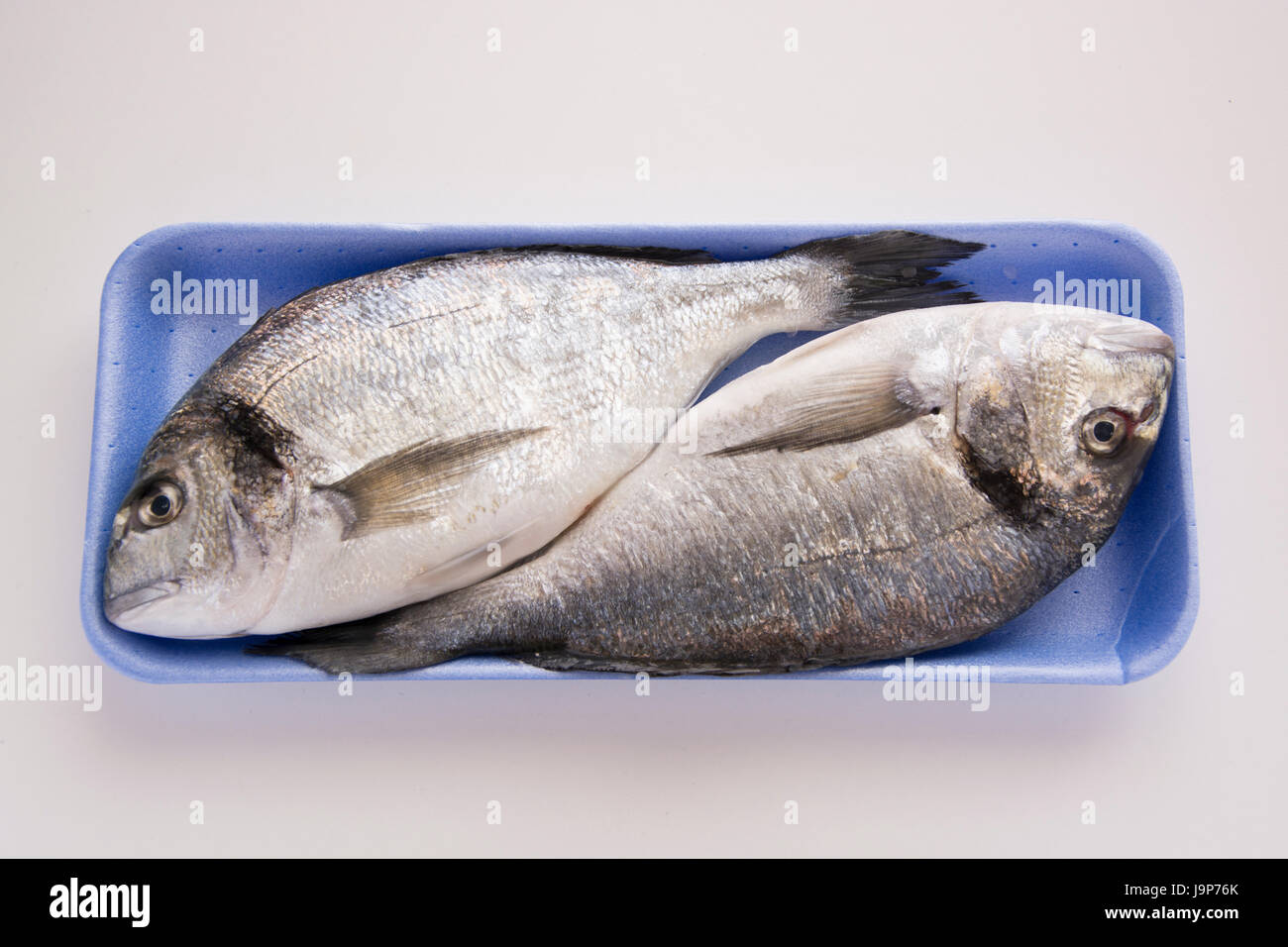 Dorado, sparus, bream fish ingredient of mediterranean diet Stock Photo ...
