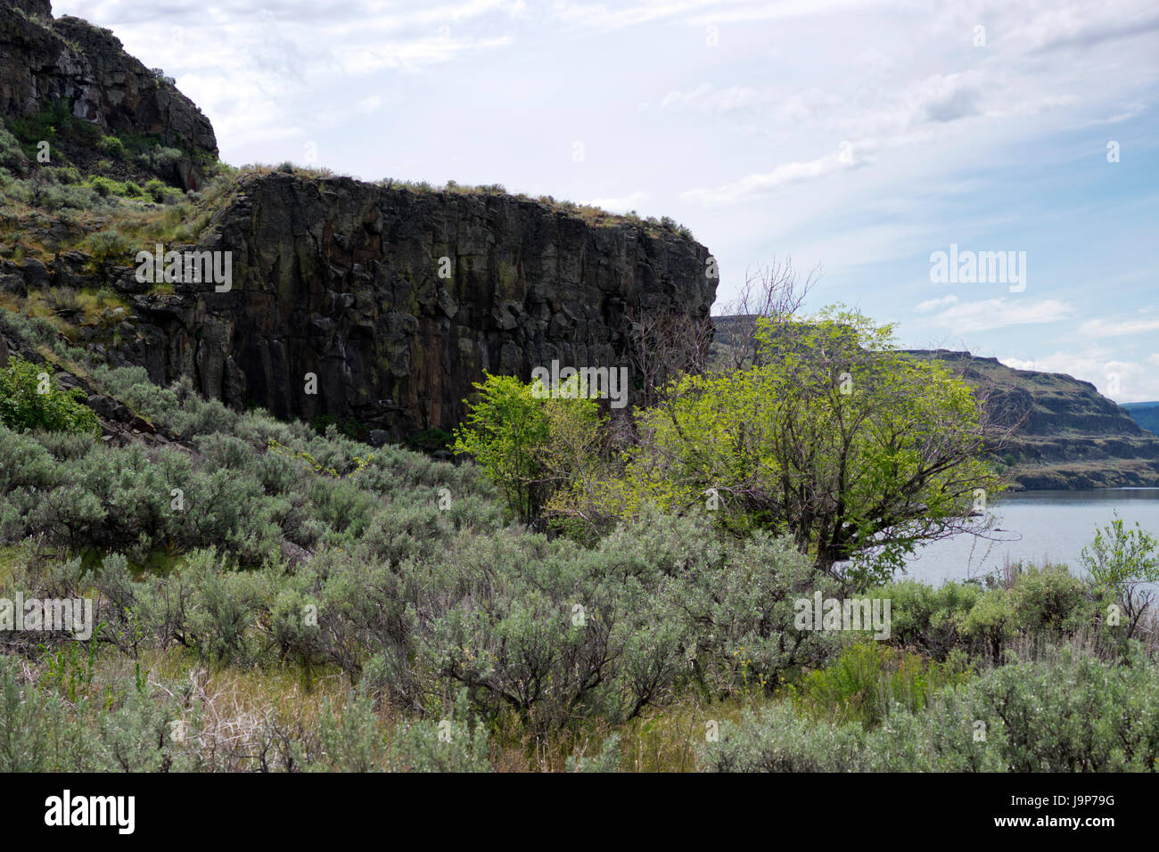 Columbia River Gorge in Washington State, USA Stock Photo - Alamy