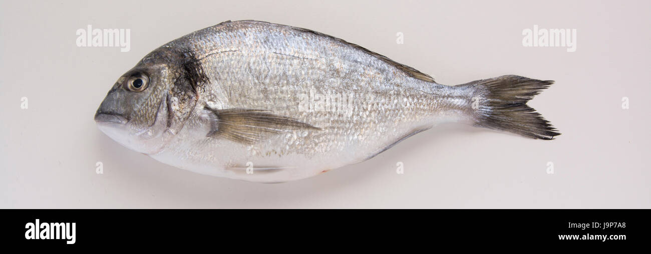 Mediterranean sea bream fish market hi-res stock photography and images ...