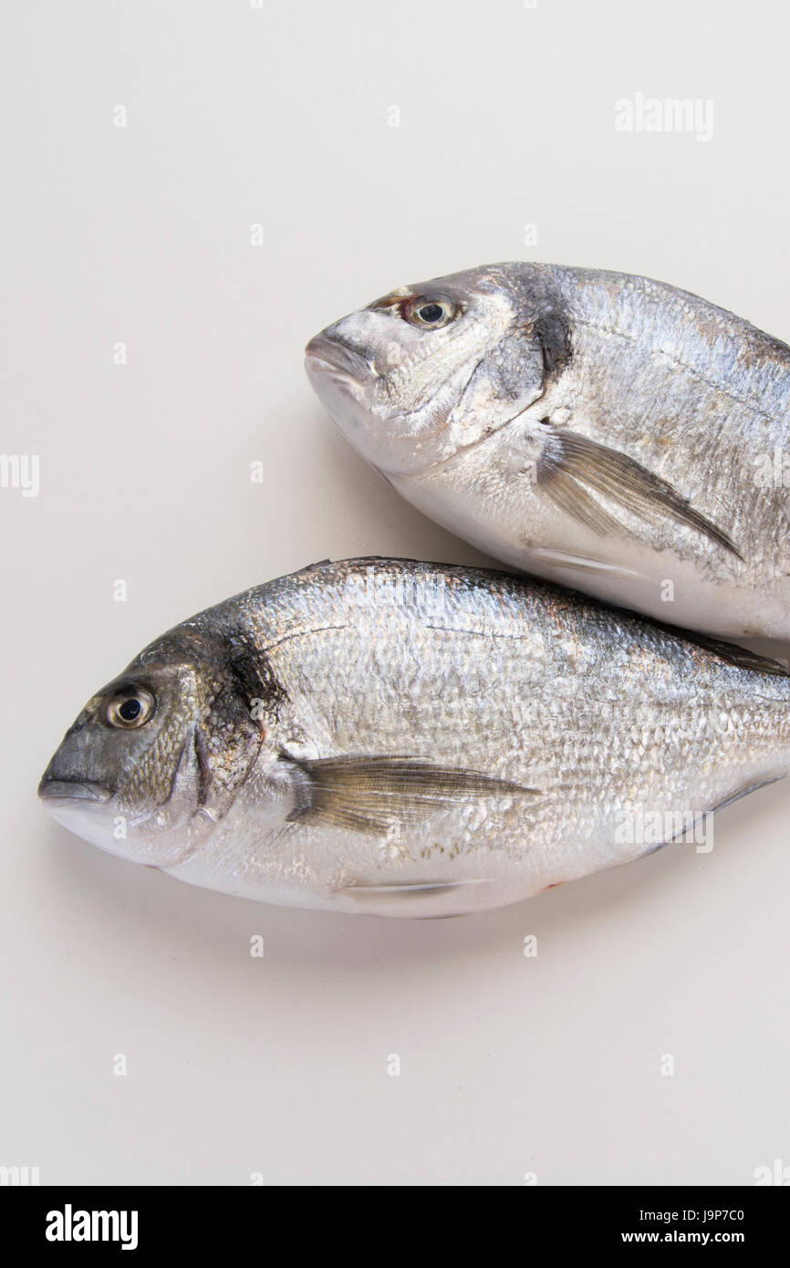 Dorado, sparus, bream fish ingredient of mediterranean diet Stock Photo ...