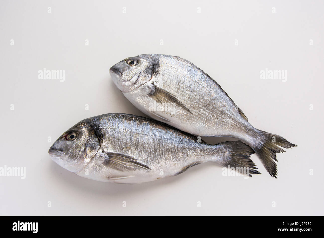 Dorado, sparus, bream fish ingredient of mediterranean diet Stock Photo ...