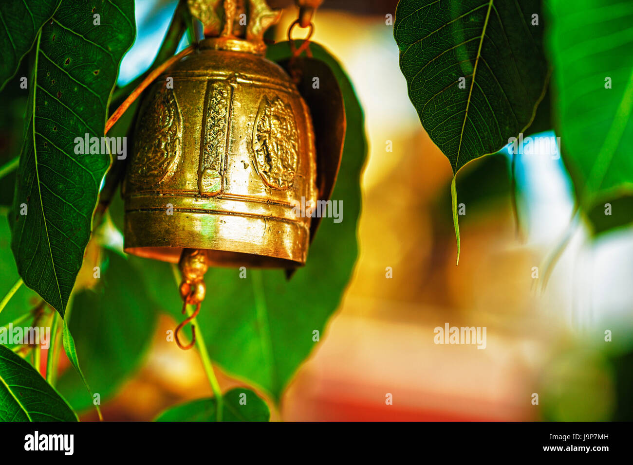 religion, religious, temple, tree, leaves, buddha, metal, thailand ...