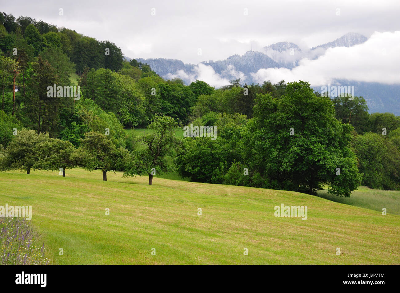 Heidiland High Resolution Stock Photography and Images - Alamy