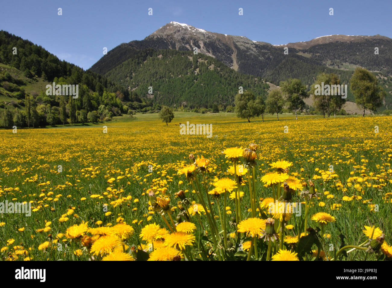 alps, hike, go hiking, ramble, south tyrol, switzerland, mountain ...
