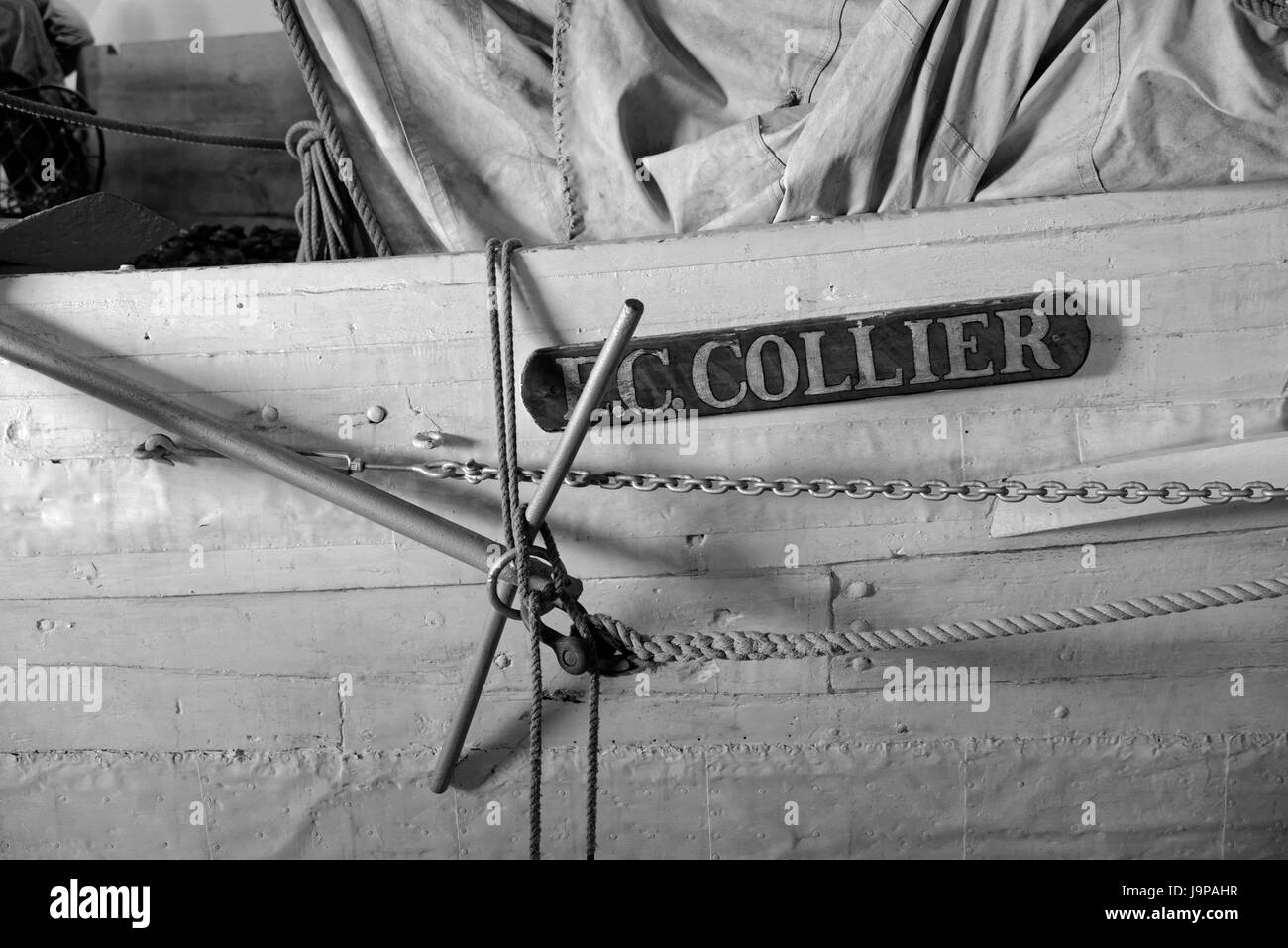 Coastal collier hi-res stock photography and images - Alamy