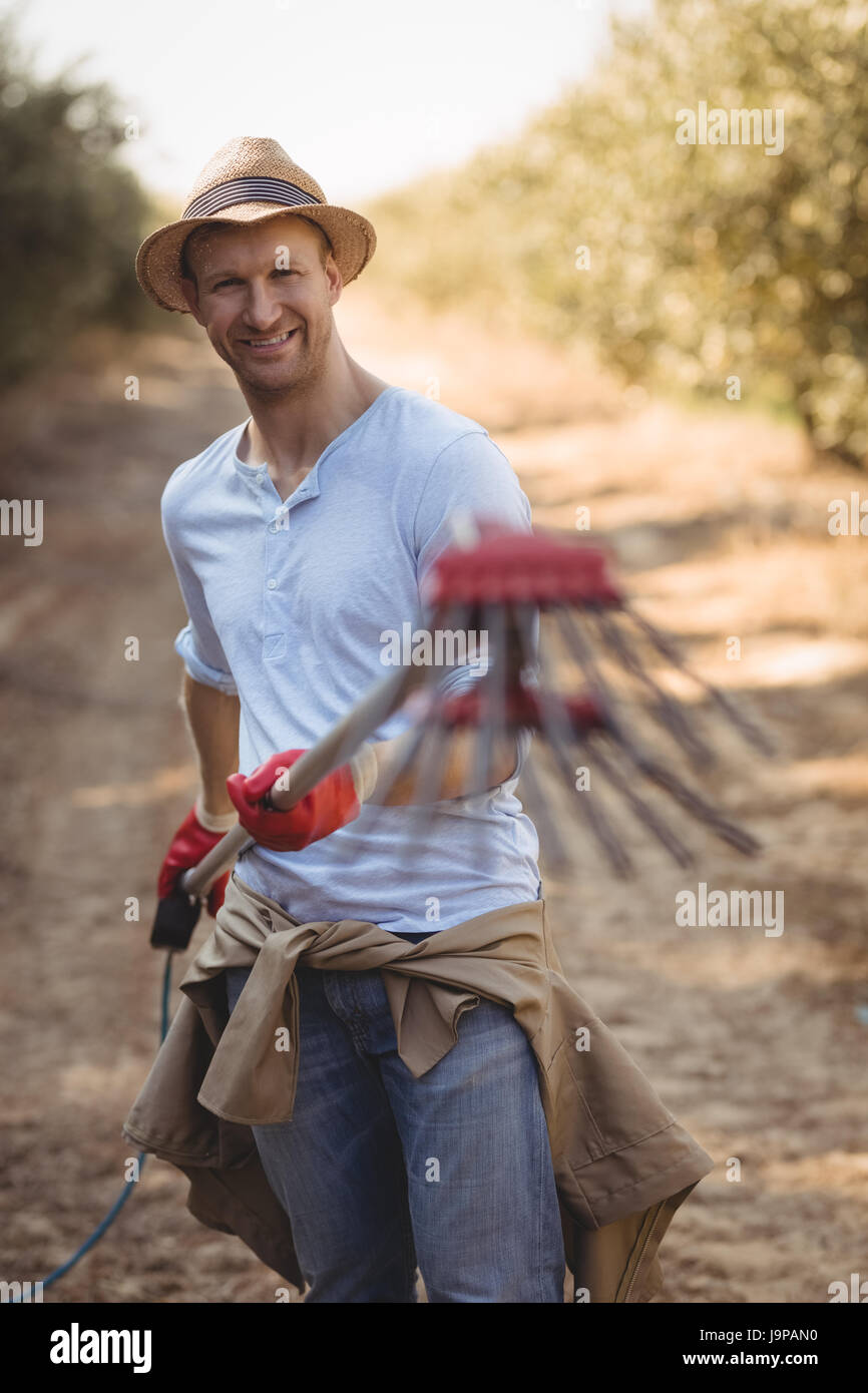 Portrait of young male farmer holding olive rake at farm Stock Photo ...