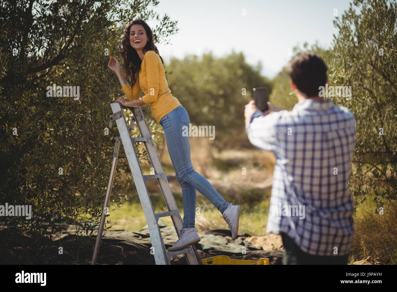 Rear view of boyfriend photographing girlfriend on sunny day at olive ...