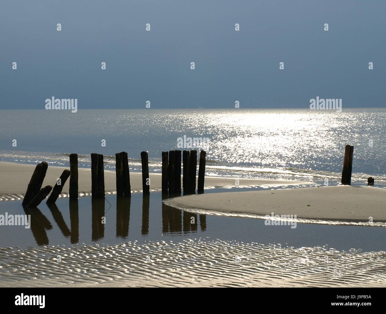 blue, horizon, beach, seaside, the beach, seashore, coast, evening ...