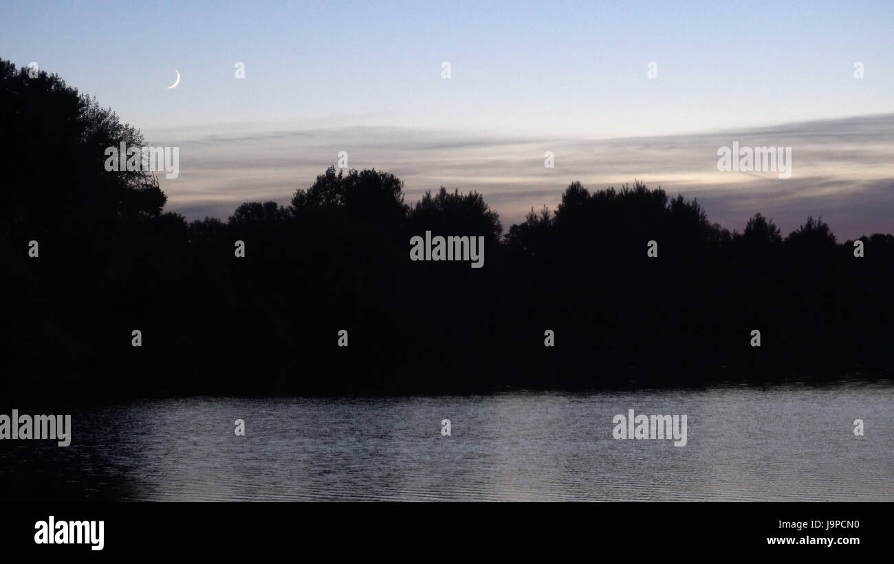 A crescent moon over Lake at dusk, with silhouetted, forest in the ...
