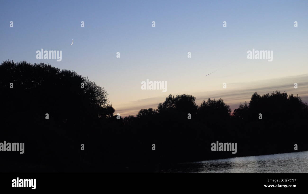 A crescent moon over Lake at dusk, with silhouetted, forest and flying ...