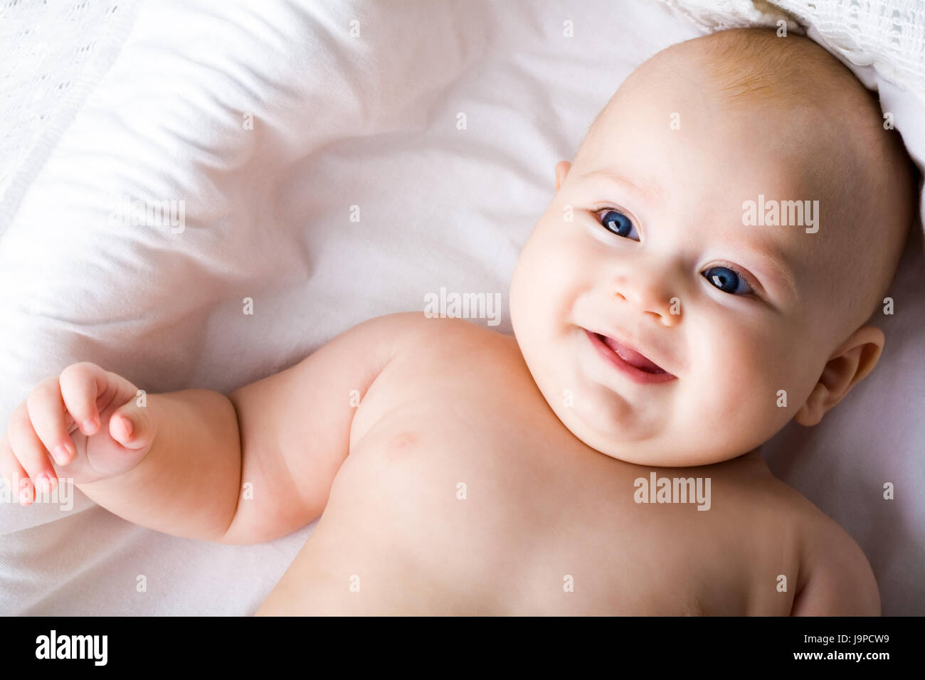 Chubby face fish hi-res stock photography and images - Alamy