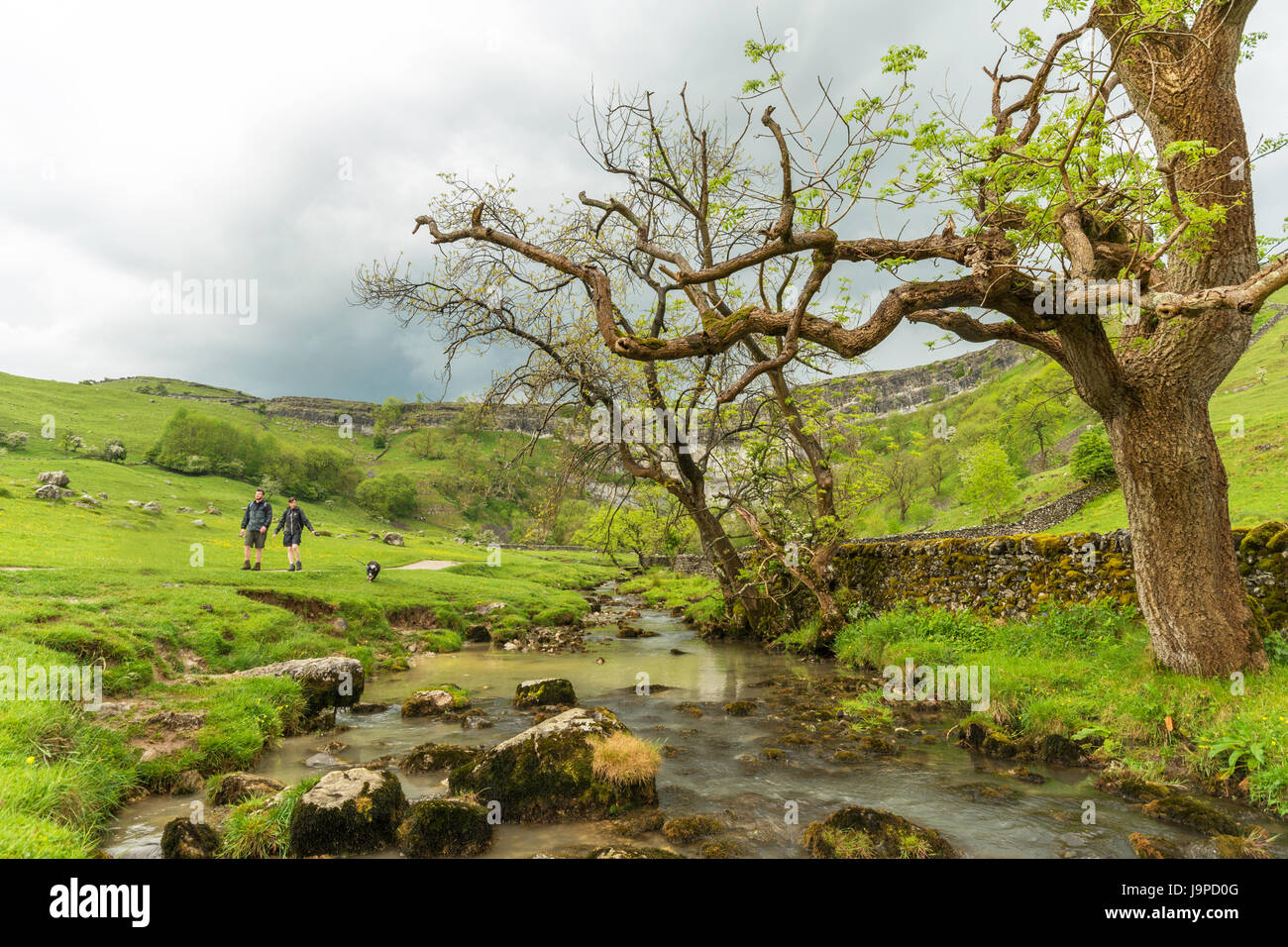 Malham Cove, Malham, North Yorkshire, UK Stock Photo - Alamy