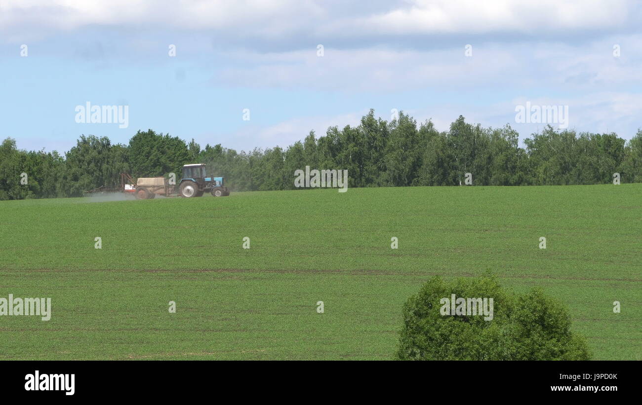 Russia field aerial corn hi-res stock photography and images - Alamy