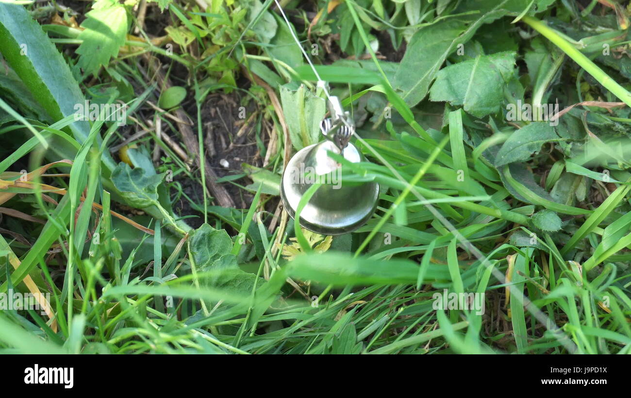 Bell on the fishing rod. Macro shot Stock Photo - Alamy