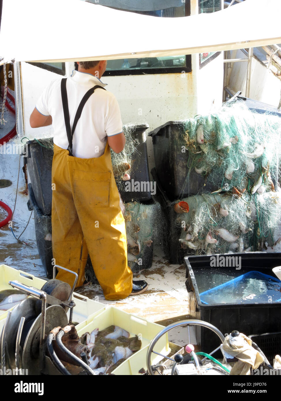 harbor, fishing, yacht, catholic, boat, intensely, intensive, salt ...