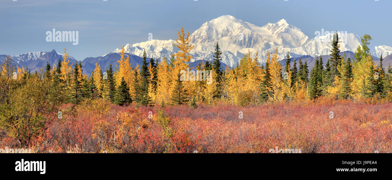 North America,the USA,Alaska,Zentralalaska,Denali national park,Alaska ...