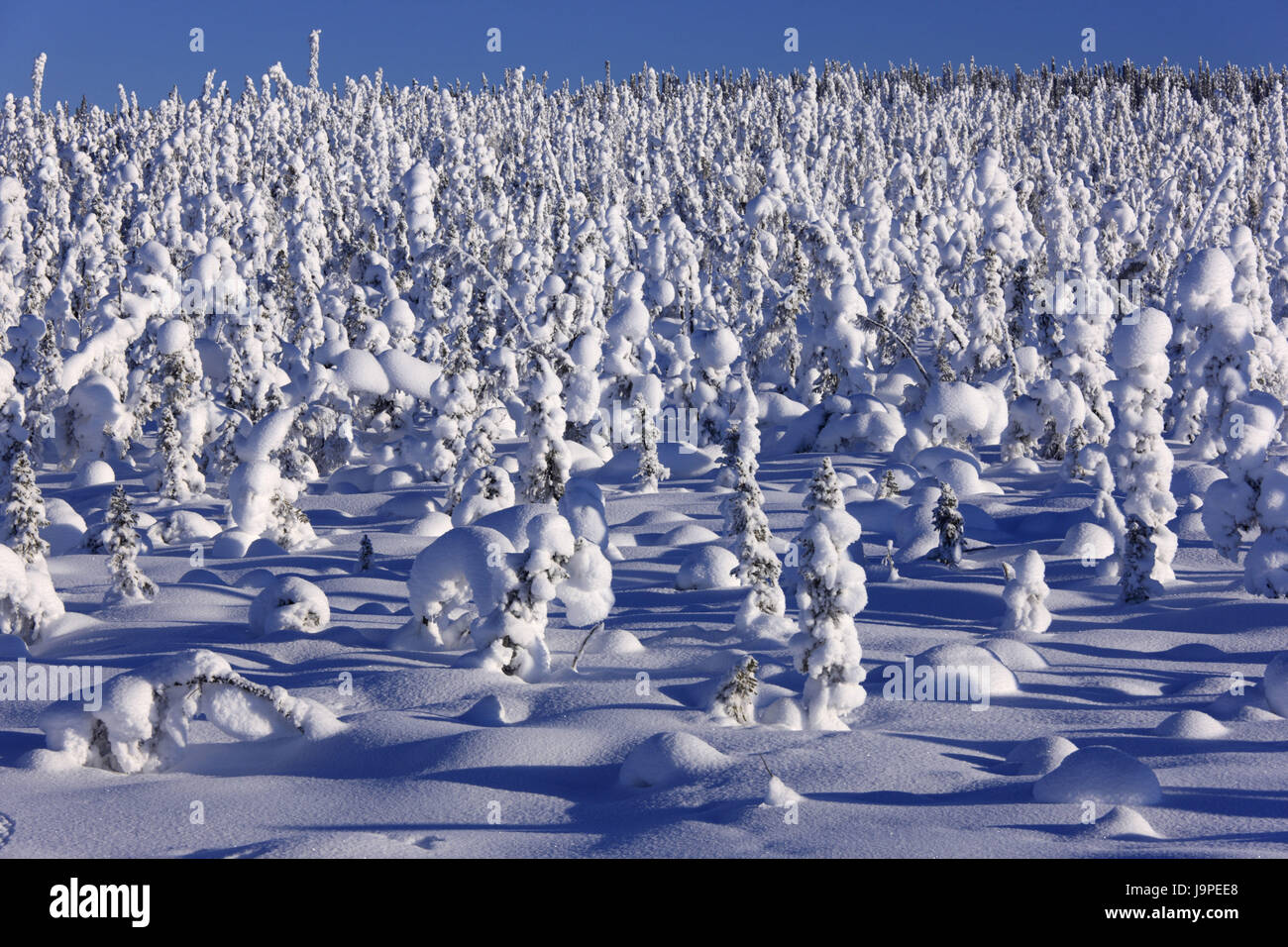 Eagle plains yukon territory canada hi-res stock photography and images ...