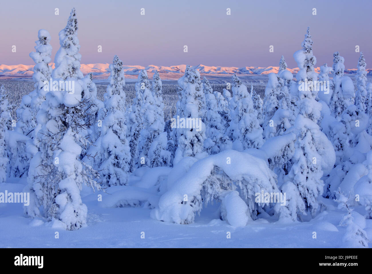 North America,Canada,Yukon territory,Yukon Territory,Dempster highway ...