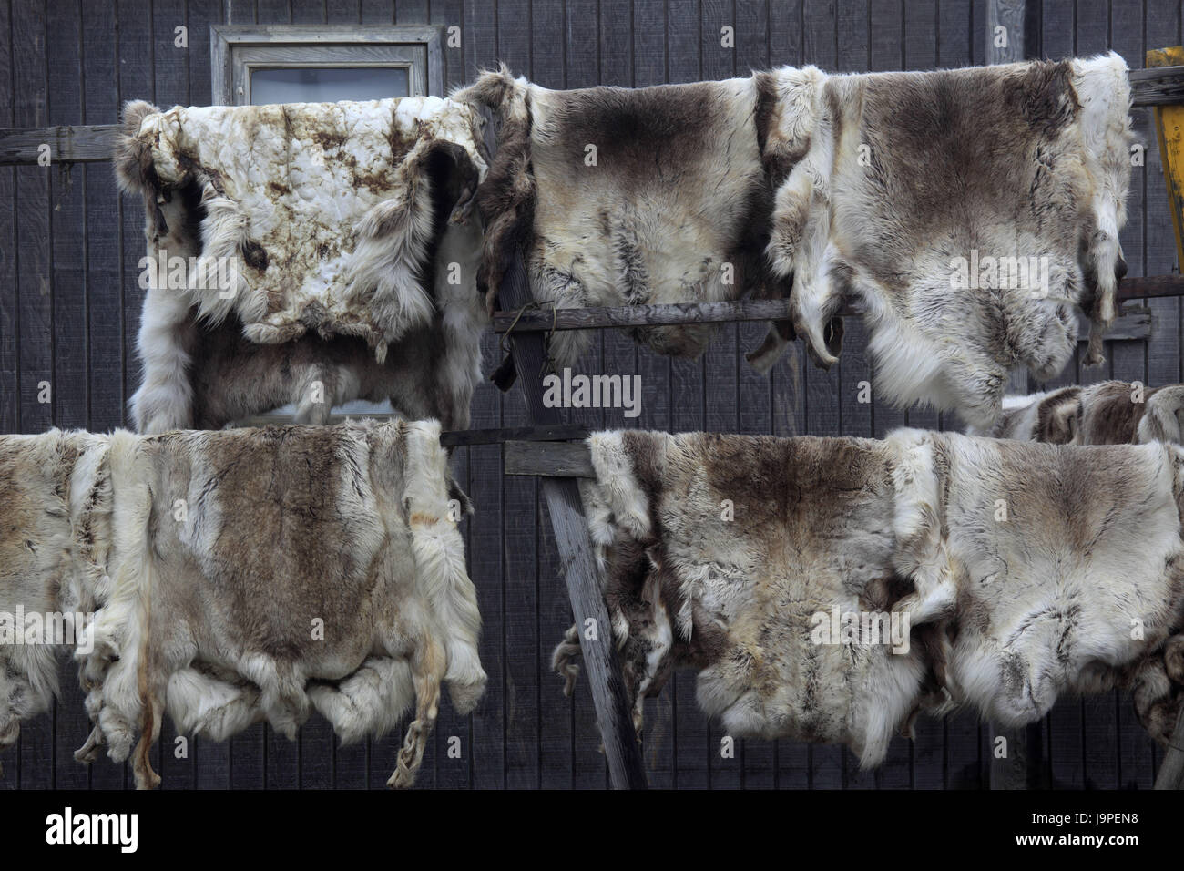 Inuit hunting alaska hi-res stock photography and images - Alamy