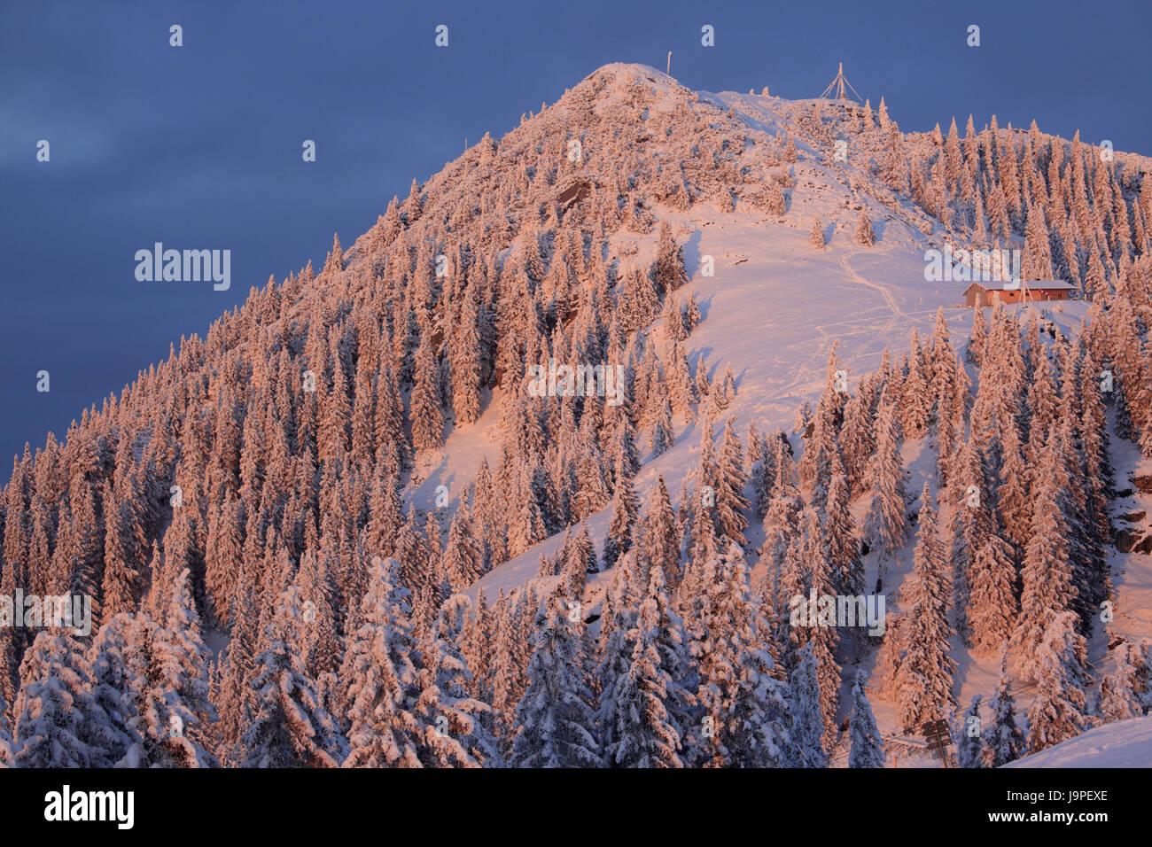 Germany,Bavaria,Upper Bavaria,Mangfallgebirge,embankment mountain ...
