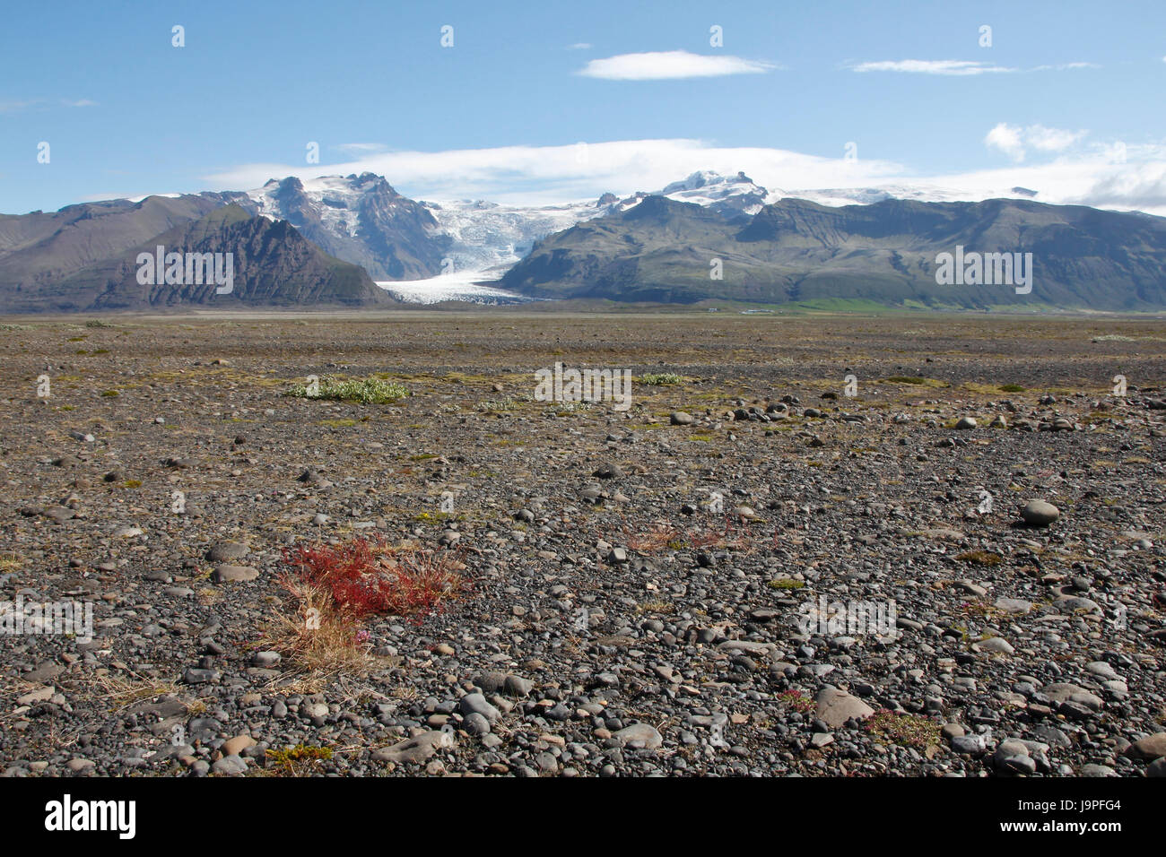 4037 hi-res stock photography and images - Alamy