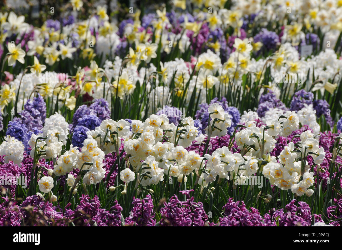 Flower attachments hi-res stock photography and images - Alamy