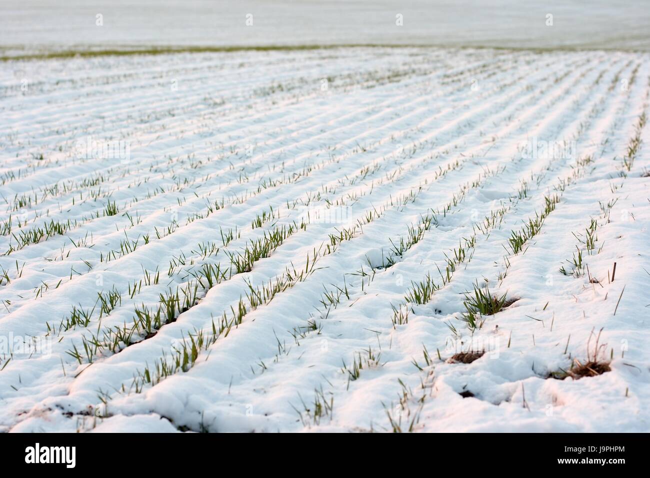 Short row hi-res stock photography and images - Alamy