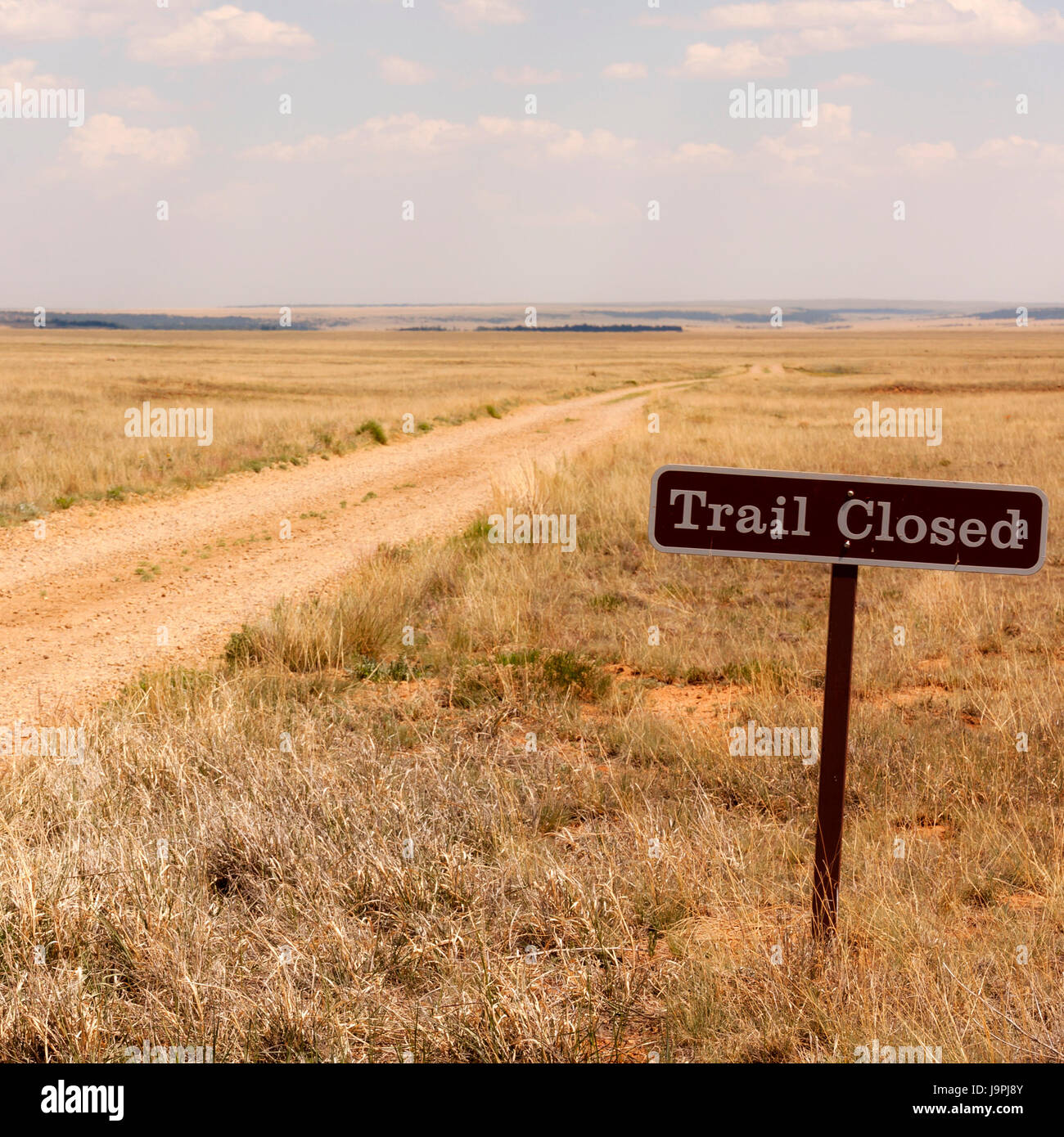 sign, signal, aim, goal, hint, rule, path, way, street, road, pointing ...