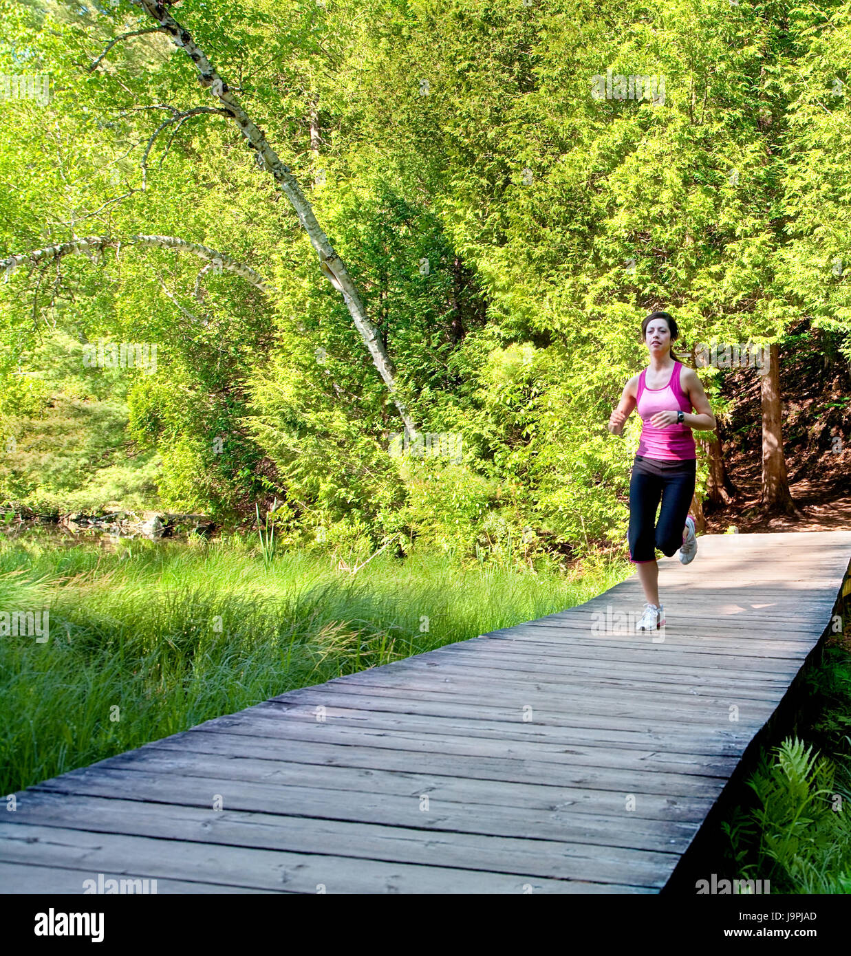 woman, outdoor, jogging, woods, exercise, boardwalk, sport, sports, run ...