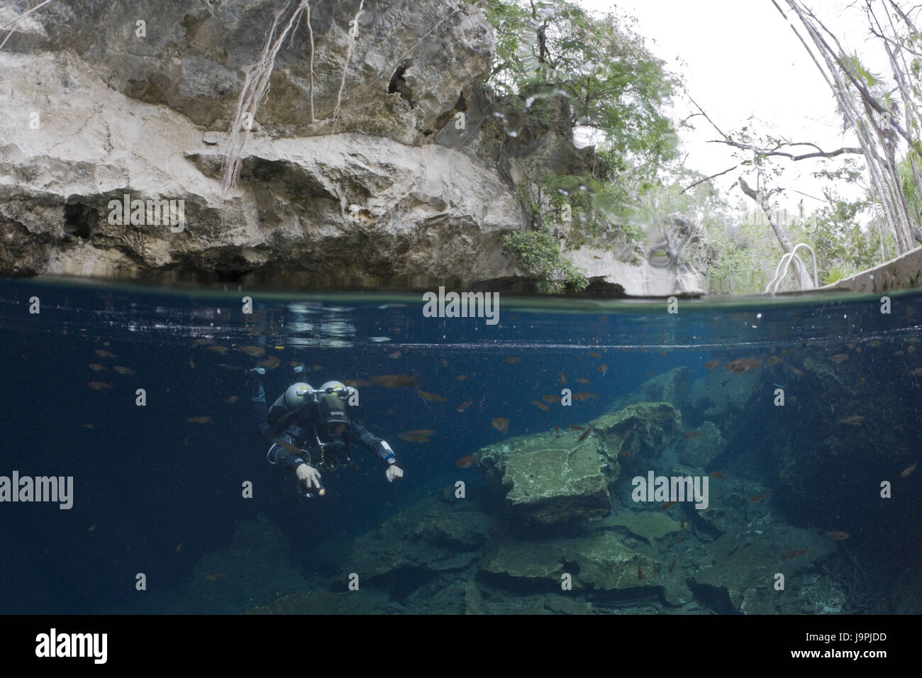 Diving in the Cenote' Chac Mool',Playa del Carmen,Yucatan peninsula ...