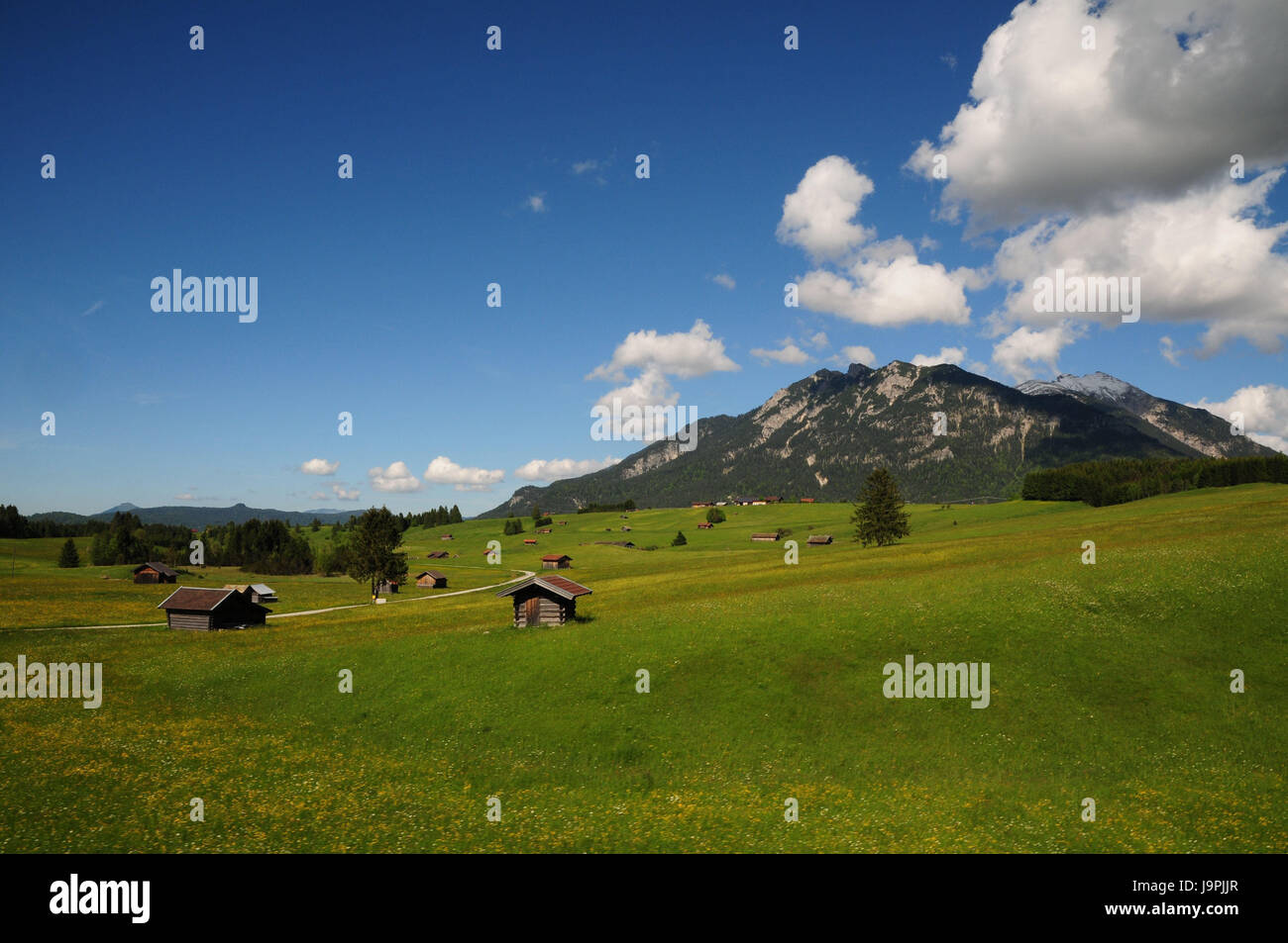 Germany,Bavaria,Isar valley,hump meadows,Soierngebirge,spring ...