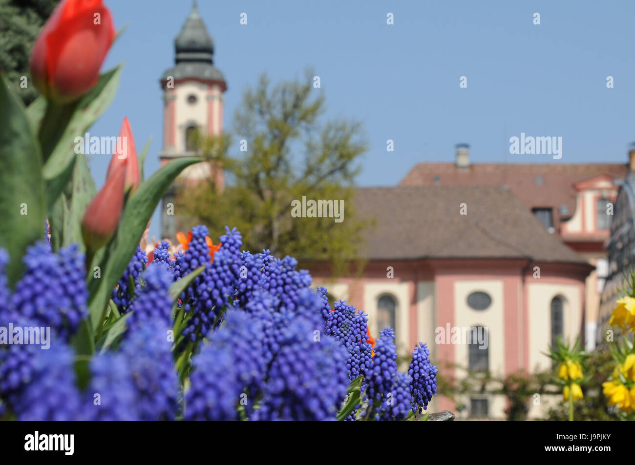 Germany,Baden-Wurttemberg,island Mainau,spring flowers,church,island ...