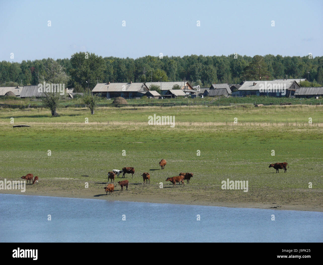 Irtysch hi-res stock photography and images - Alamy