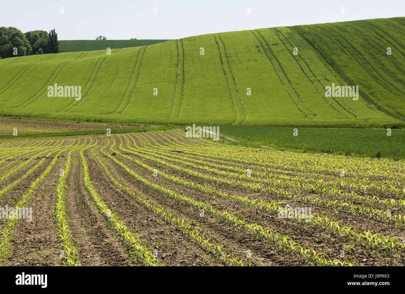 Austria,Upper Austria,Innviertel,Aspach,field scenery Stock Photo - Alamy