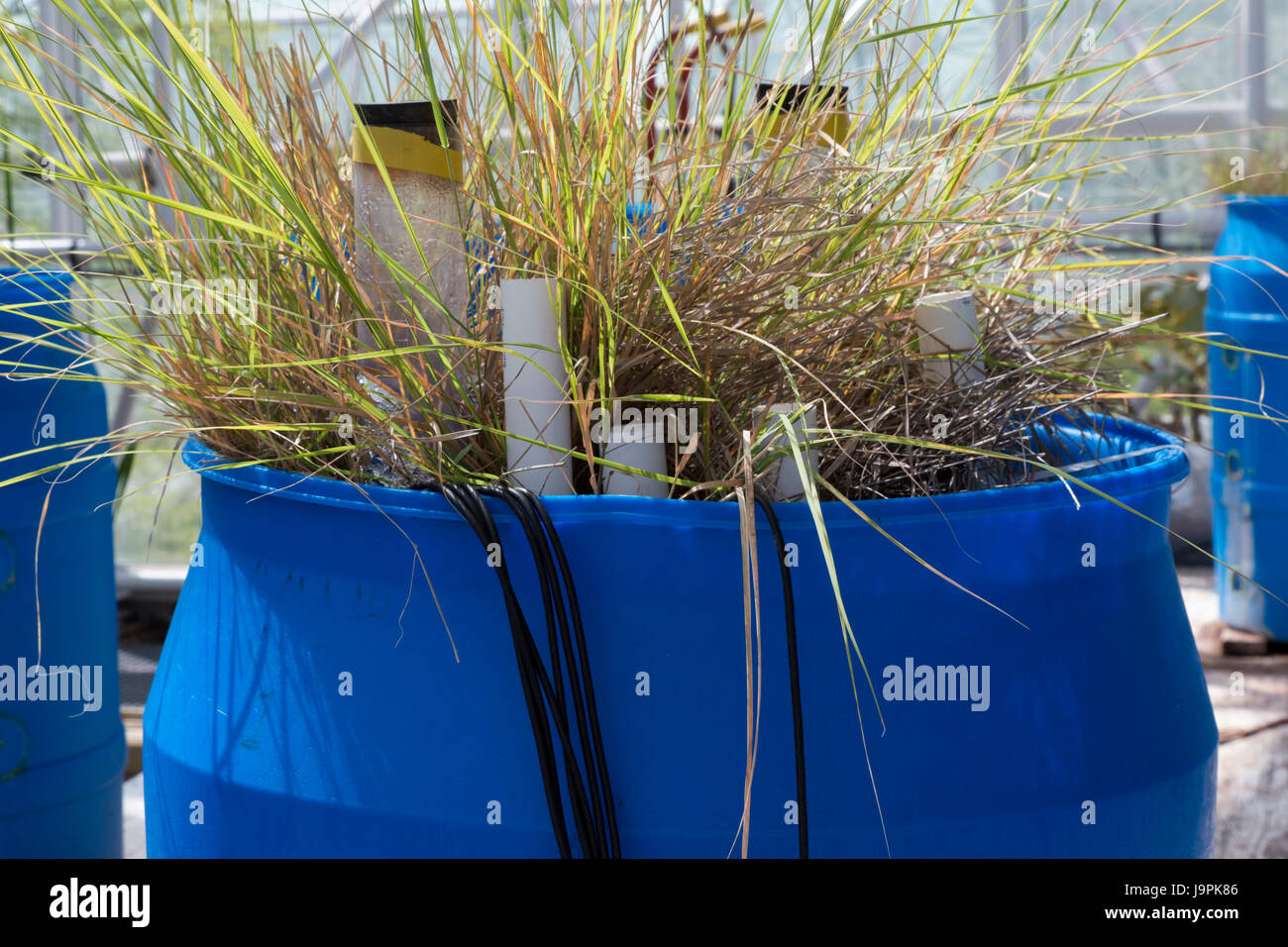 Oracle, Arizona - A plant growth experiement at Biosphere 2. People ...