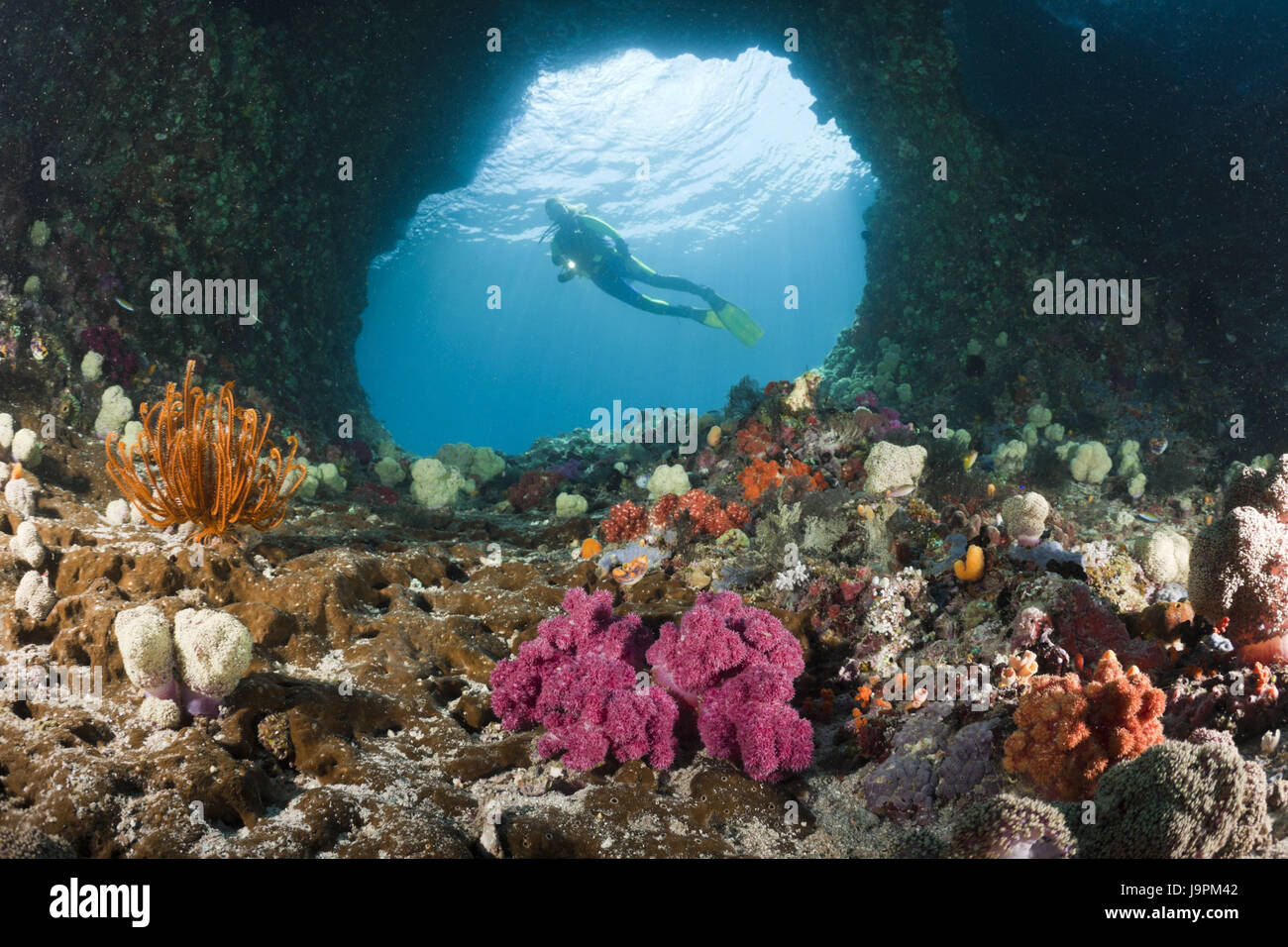 Diver in grotto,Raja Ampat,west Papua,Indonesia Stock Photo - Alamy
