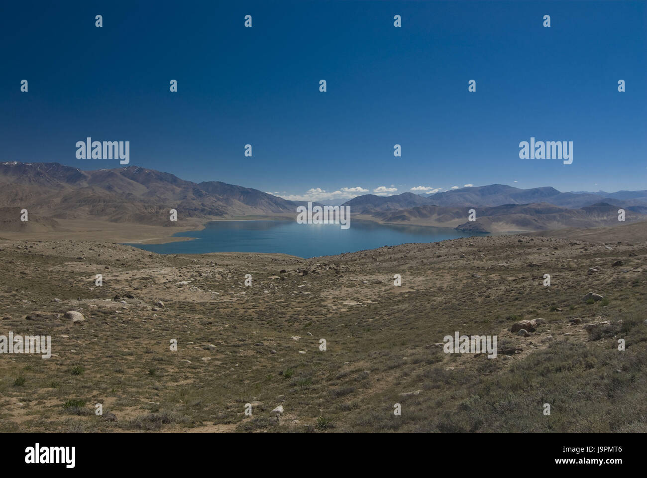 Yashi hi-res stock photography and images - Alamy
