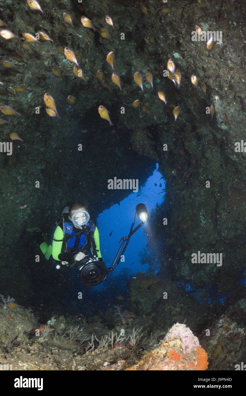 Diver in grotto,Raja Ampat,west Papua,Indonesia Stock Photo - Alamy