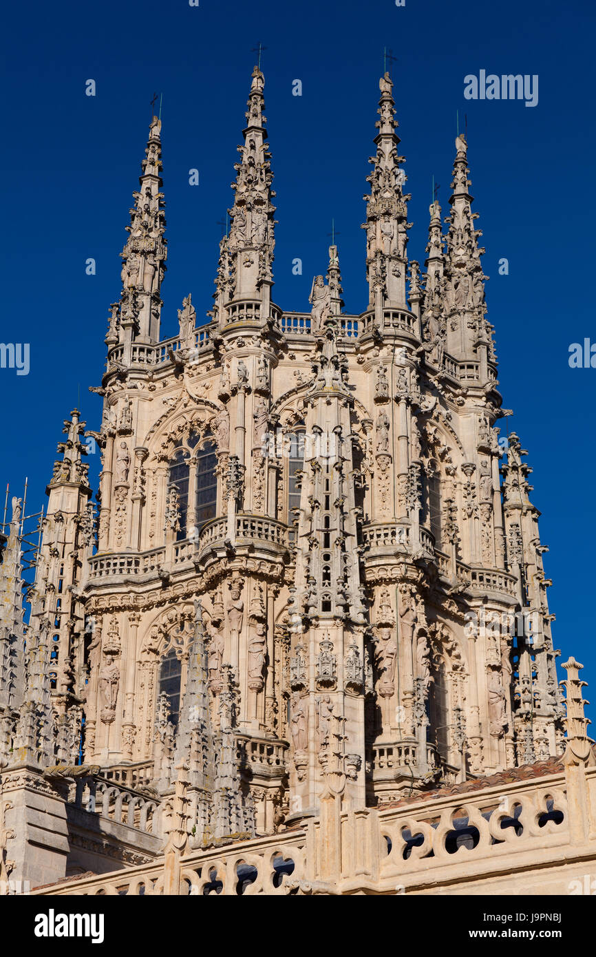 tower, historical, city, town, colour, stone, cathedral, tourism, shine ...