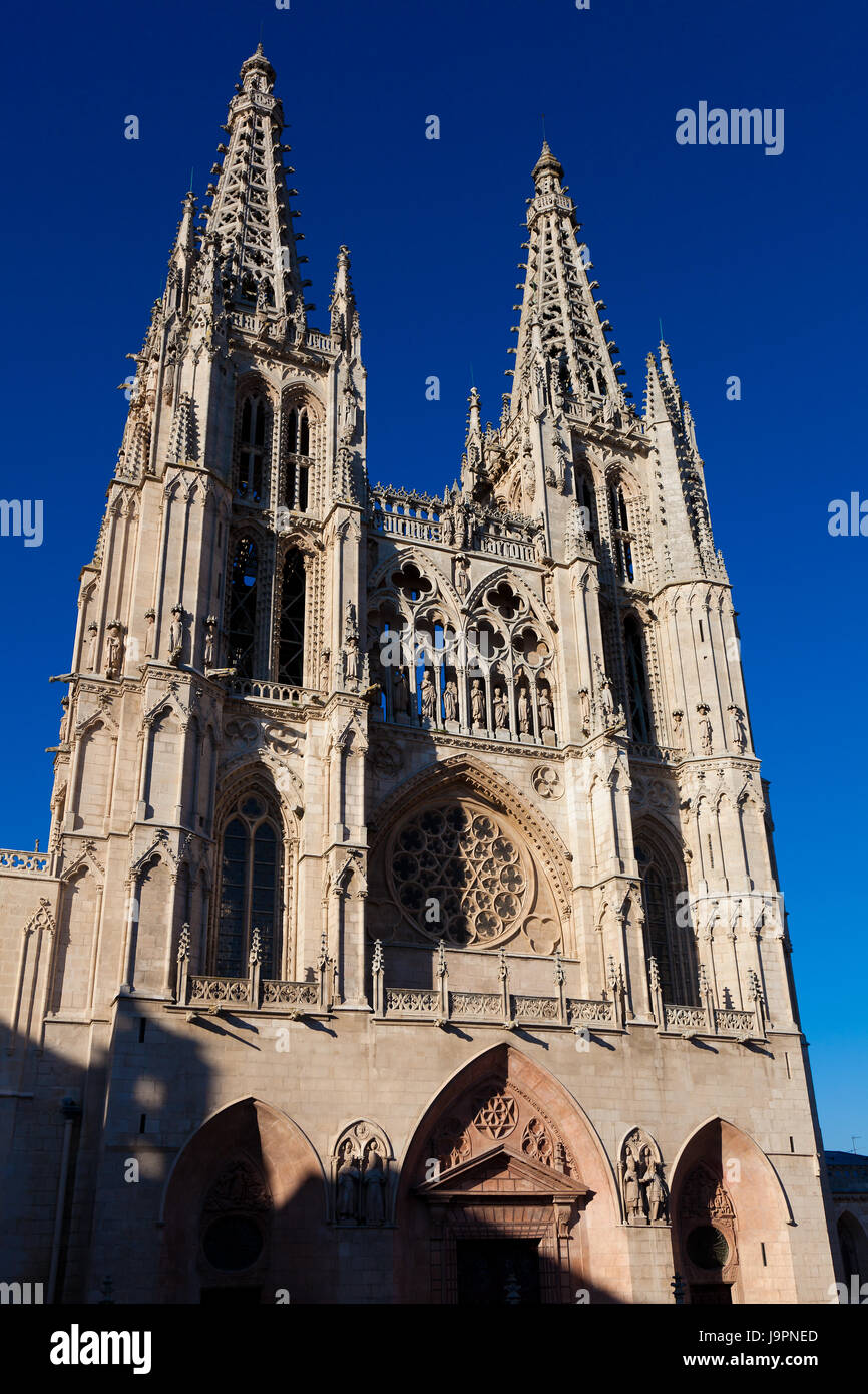 tower, historical, city, town, colour, stone, cathedral, tourism, shine ...