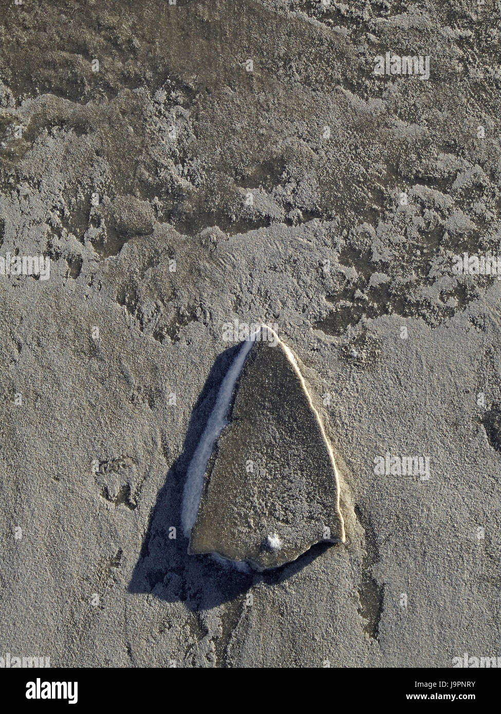 Sand,wet,E sharp,shore,beach,sandy beach,damp,grey,detail,light,shade ...
