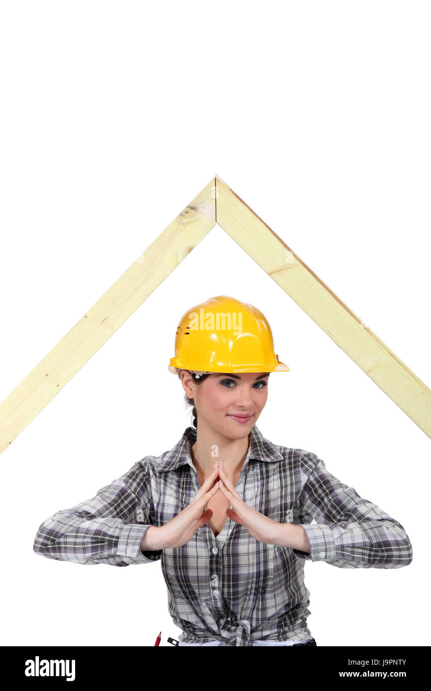board, cloud, cabin, carpenter, barge, carpentry, building ...