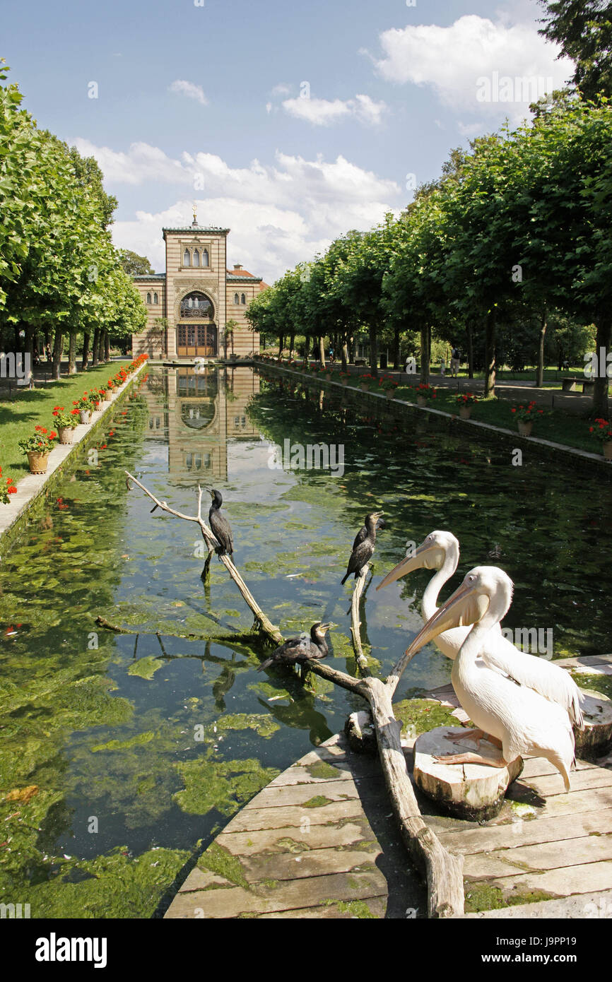 Germany,Baden-Wurttemberg,Stuttgart,Wilhelma,Damaszenerhalle,Rose's ...