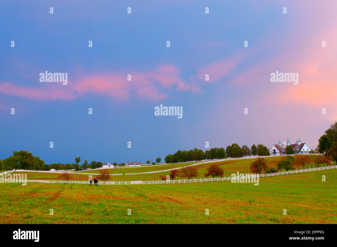Kentucky farm landscape hi-res stock photography and images - Alamy