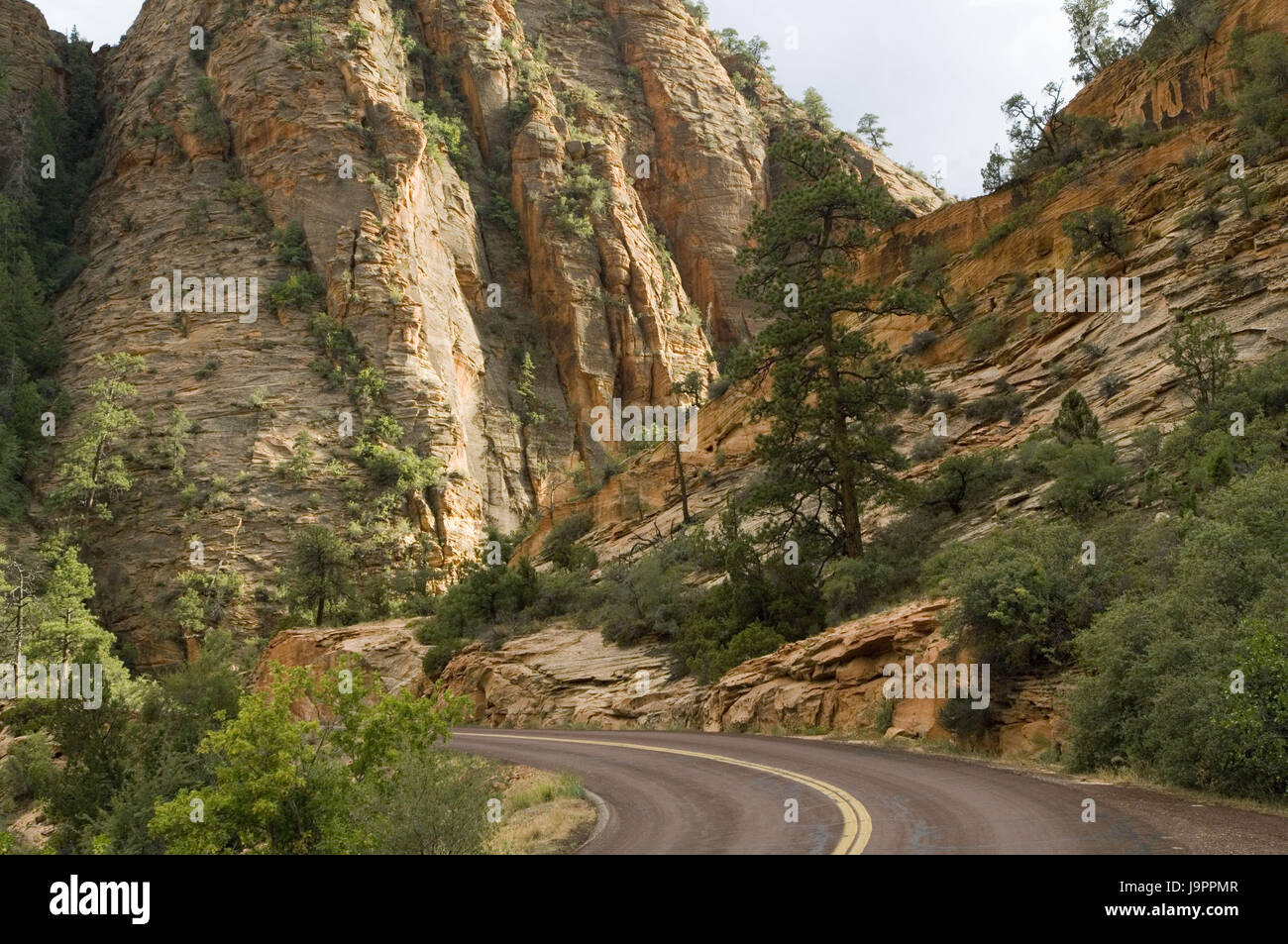 The USA,Utah,Zion national park,street Stock Photo - Alamy