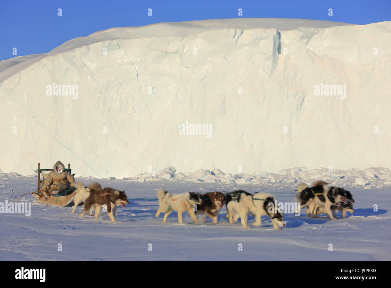 Greenland iceberg native hi-res stock photography and images - Alamy